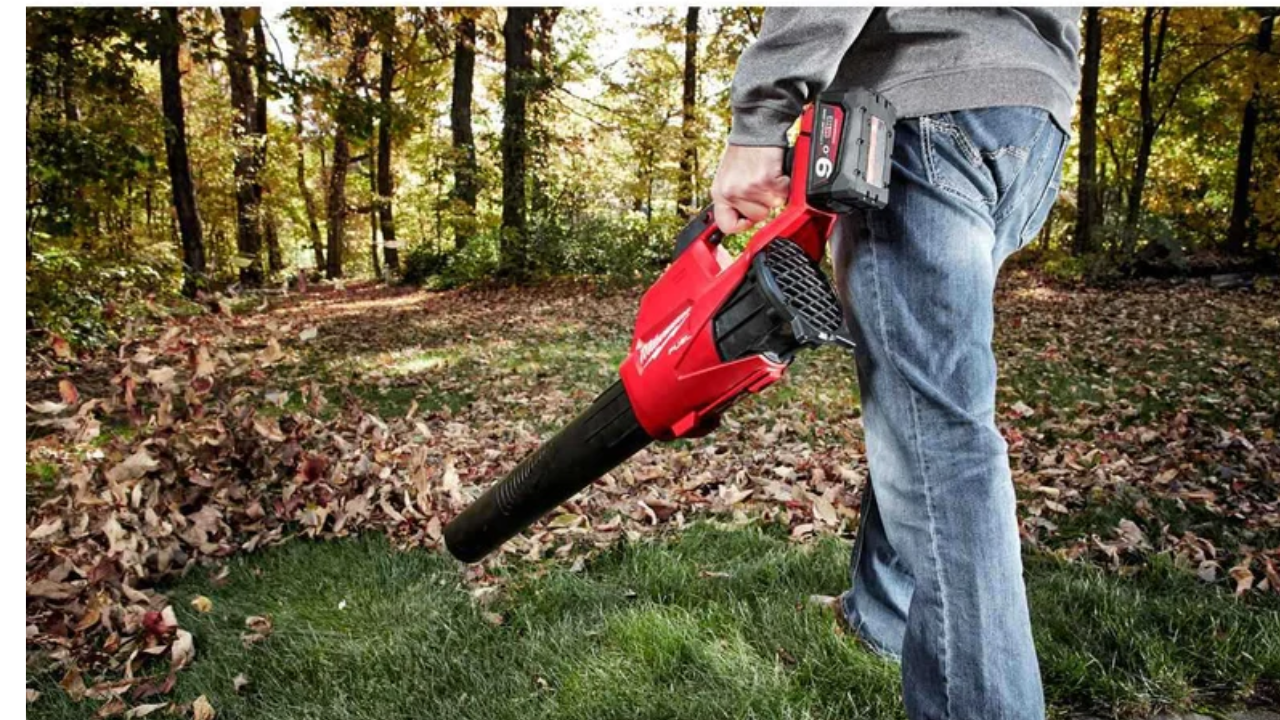 10 Essential Leaf Blower Care Tips for 2024 » Omni Impex